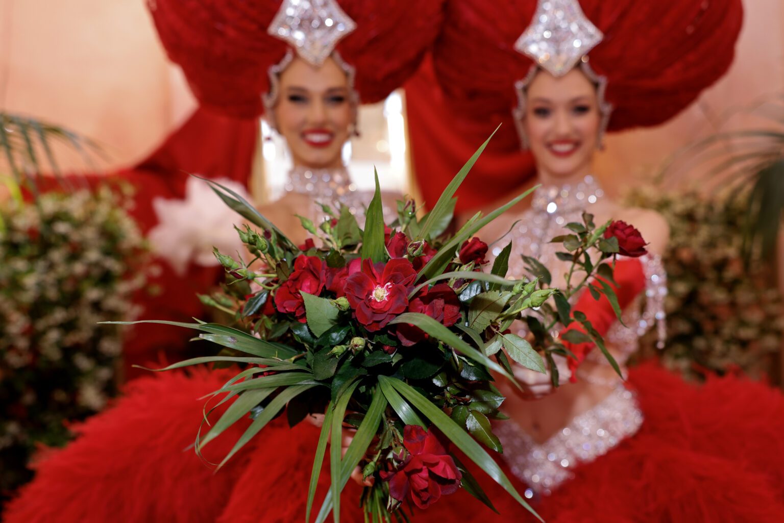 Une rose d’exception en l’honneur du Moulin Rouge ! • MEILLAND ...