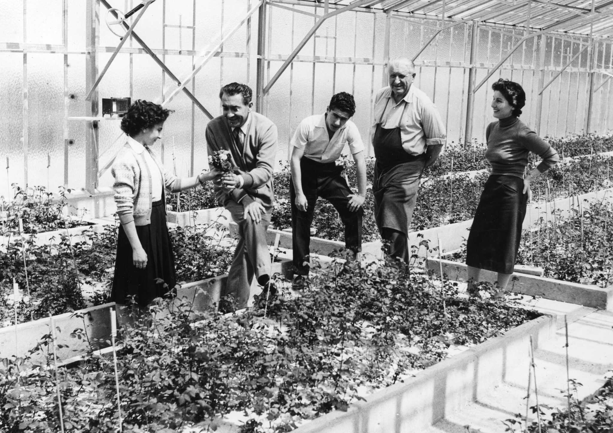 Documentary – Roses of Legends • MEILLAND International