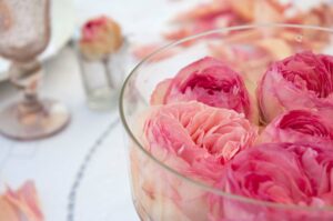 MEILLAND International • Breeding new varieties of roses